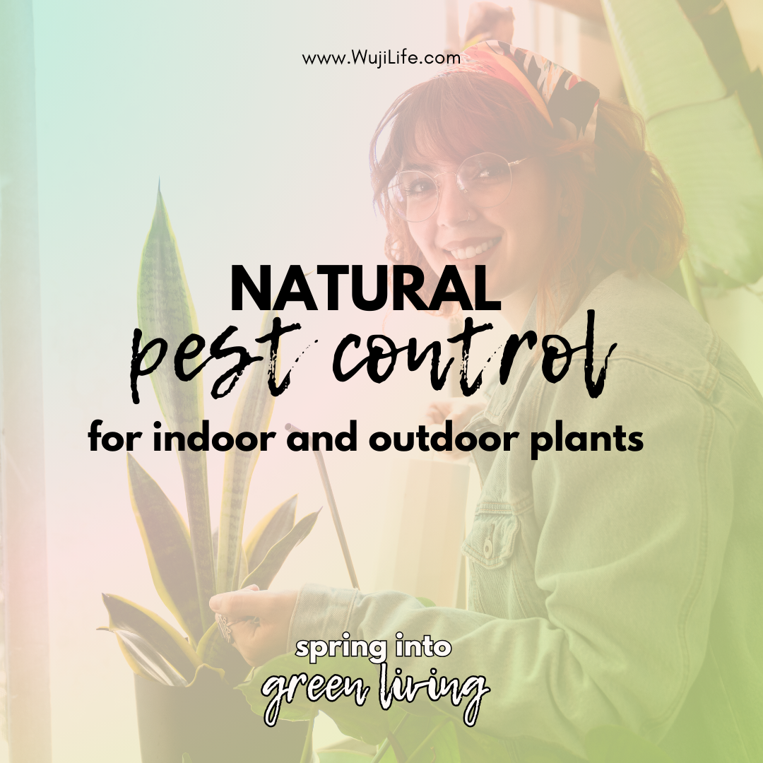 Natural Pest Control for Plants – Wuji Firgrove